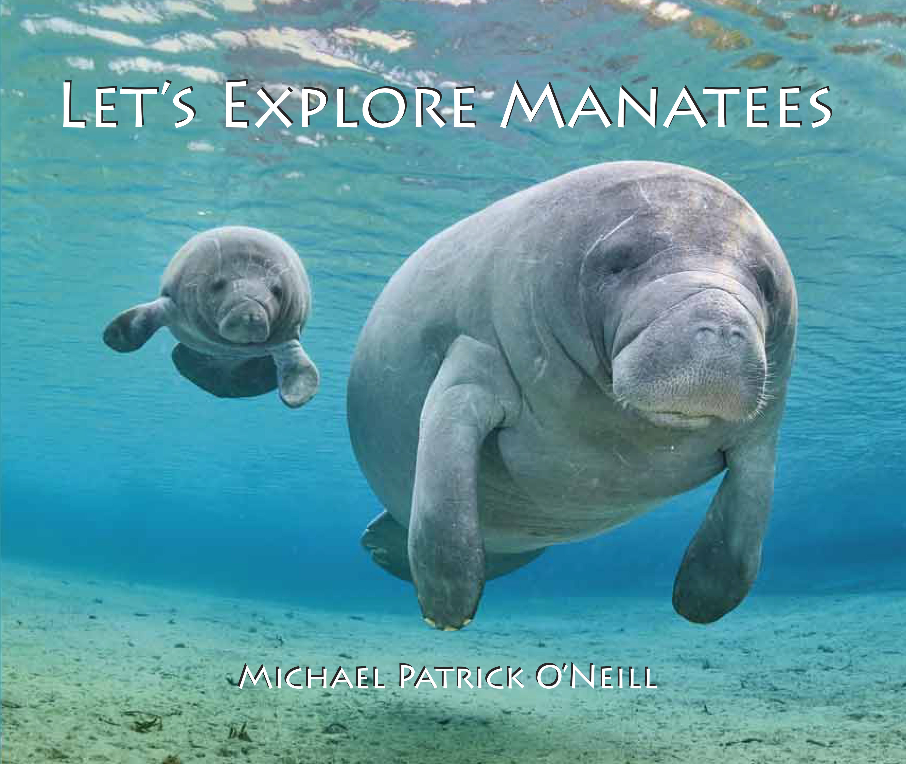 Let's Explore Manatees – Batfish Books